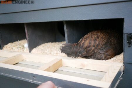 Modern Chicken Coop » Rogue Engineer