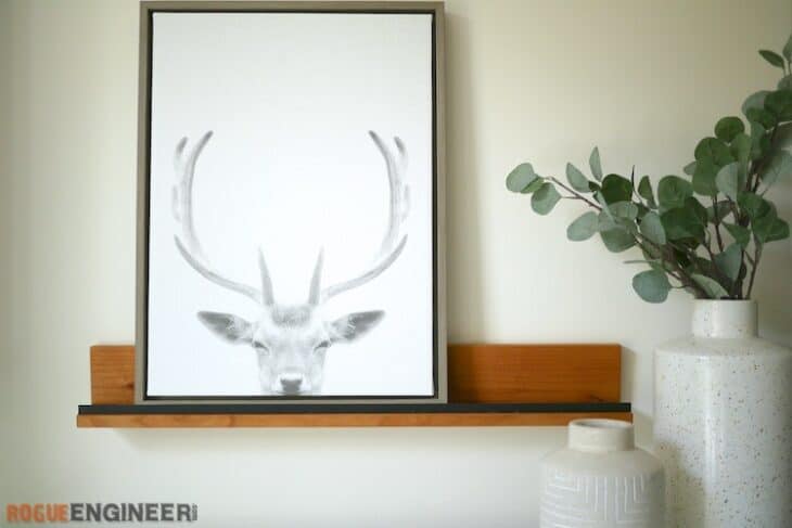 Display Ledge / Shelf » Rogue Engineer