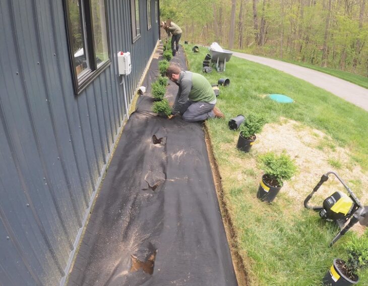 Adding Flower Beds and Getting the Perfect Edge » Rogue Engineer