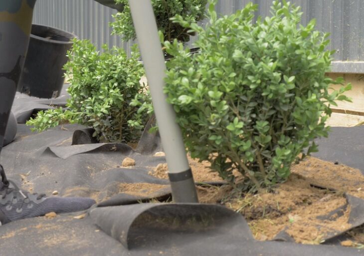 Adding Flower Beds and Getting the Perfect Edge » Rogue Engineer