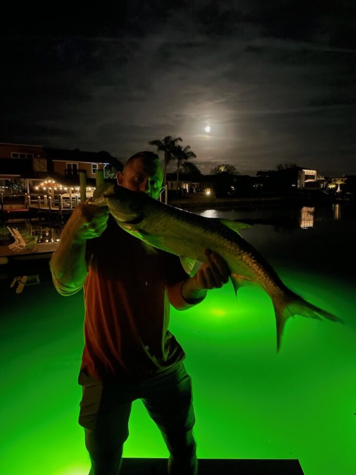 Coastal Dock Renovation » Rogue Engineer